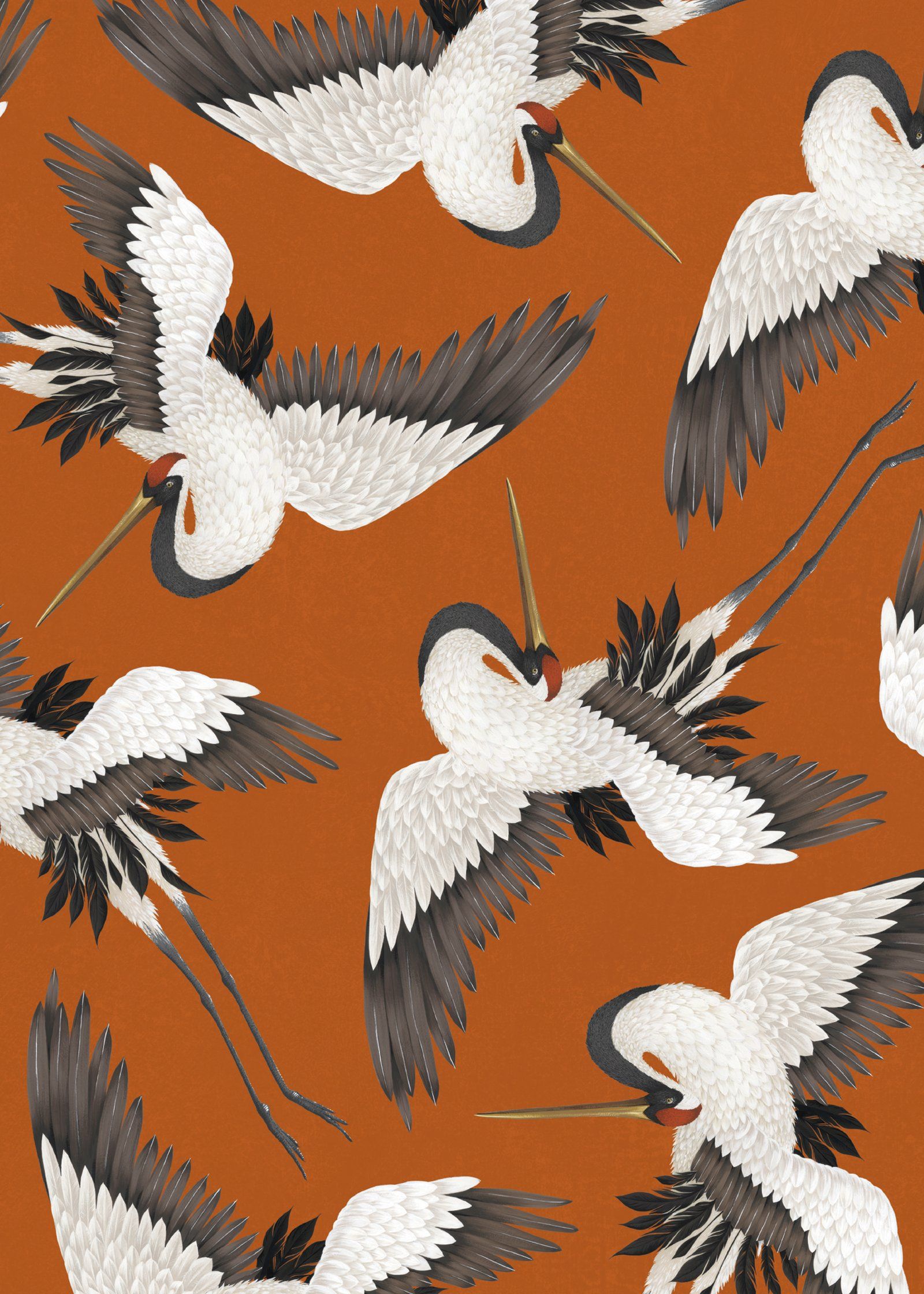 Lagom Design Cards & Gift Wrap Collaboration | Domestika